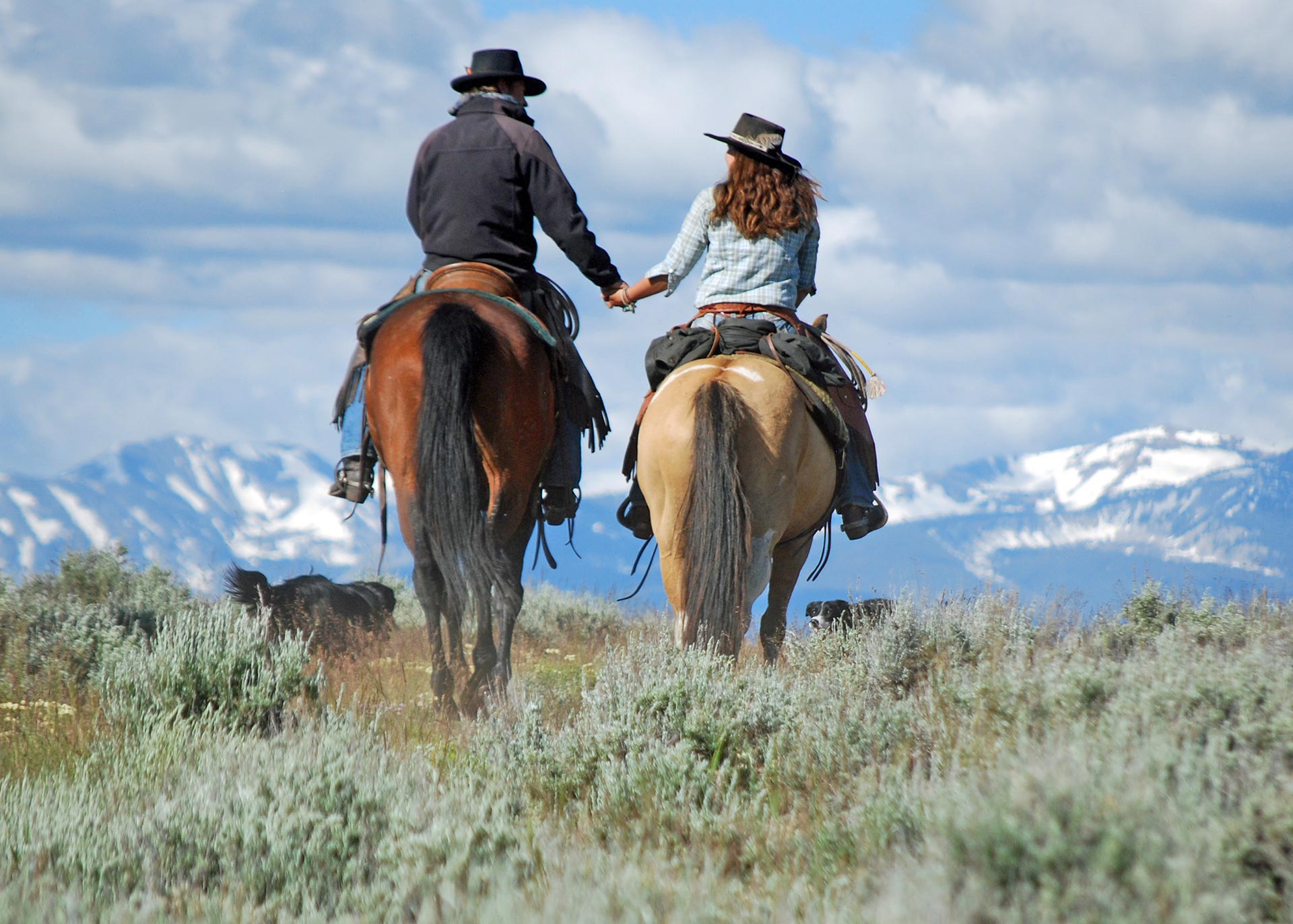 Canalta Lodge - Banff Discover-Summer-Horseback-Riding-585089696